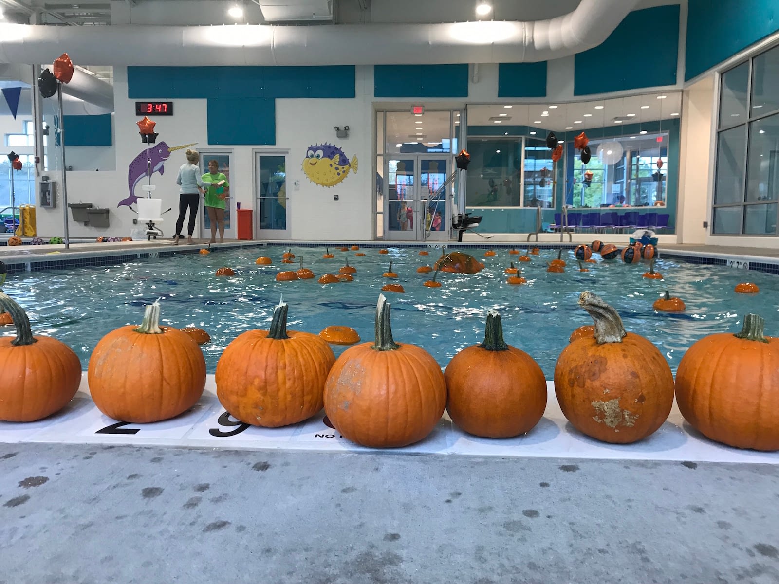 Water Pumpkin Patch - Propel Swim Academy